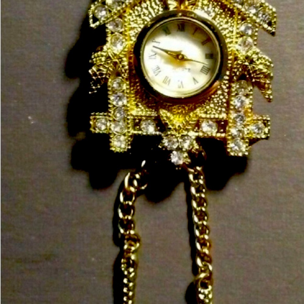 Vintage Unique Cuckoo Clock Stainless Steel Pin/Brooc… - Gem